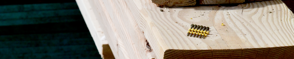 Case Study: Market Sizing & Market Assessment Research