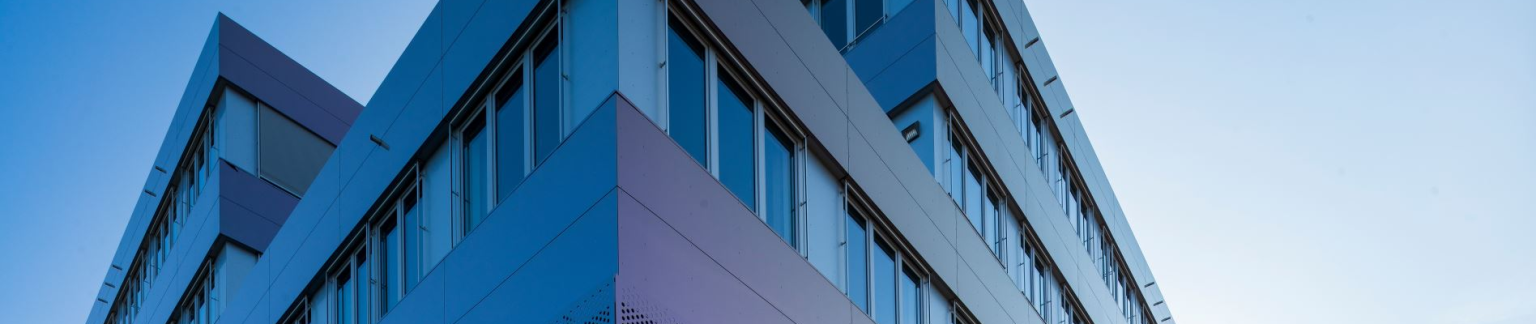 Case Study: GEALAN - B2B International